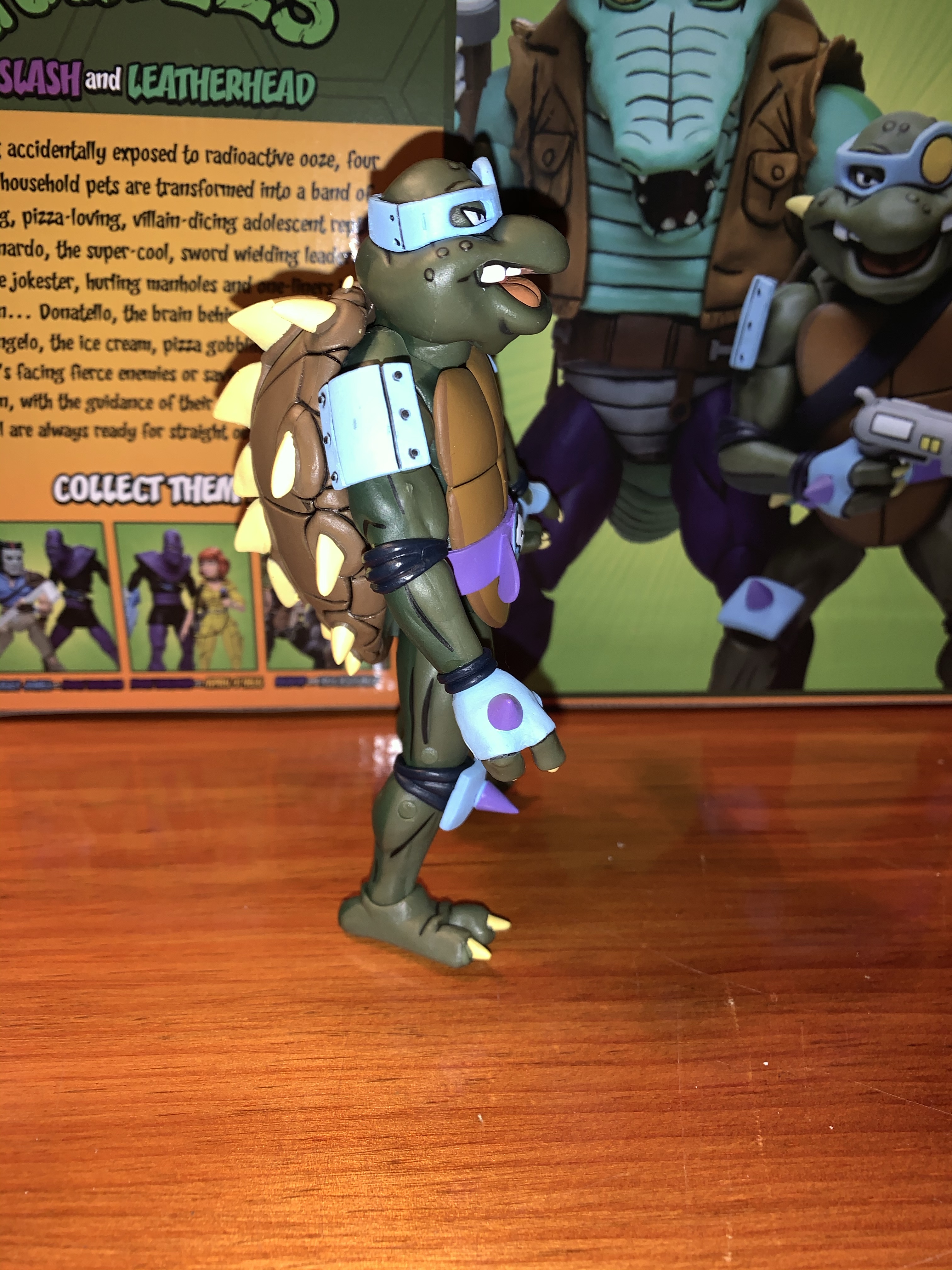 NECA TMNT Cartoon Slash and Leatherhead | The Nostalgia Spot