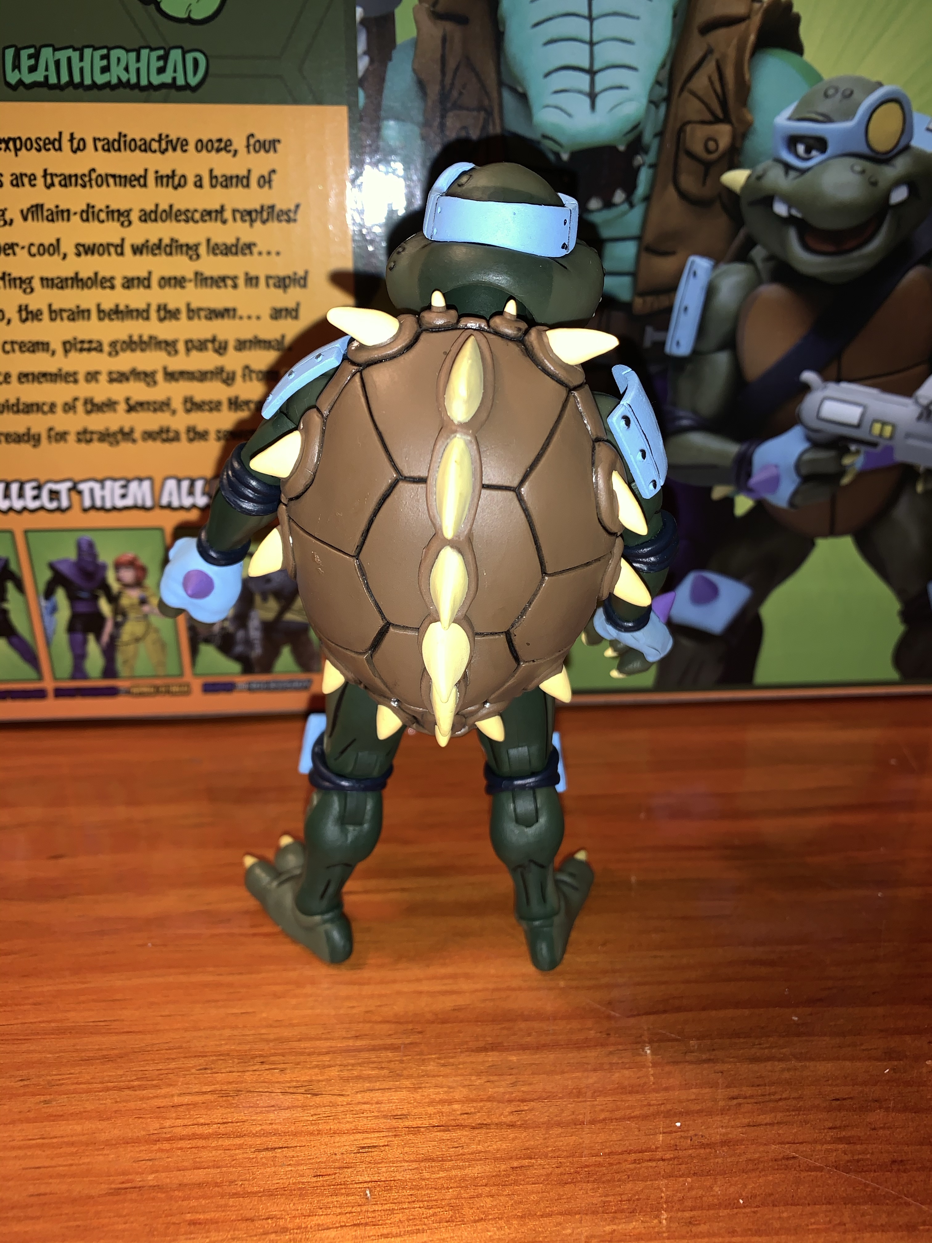 NECA TMNT Cartoon Slash and Leatherhead | The Nostalgia Spot